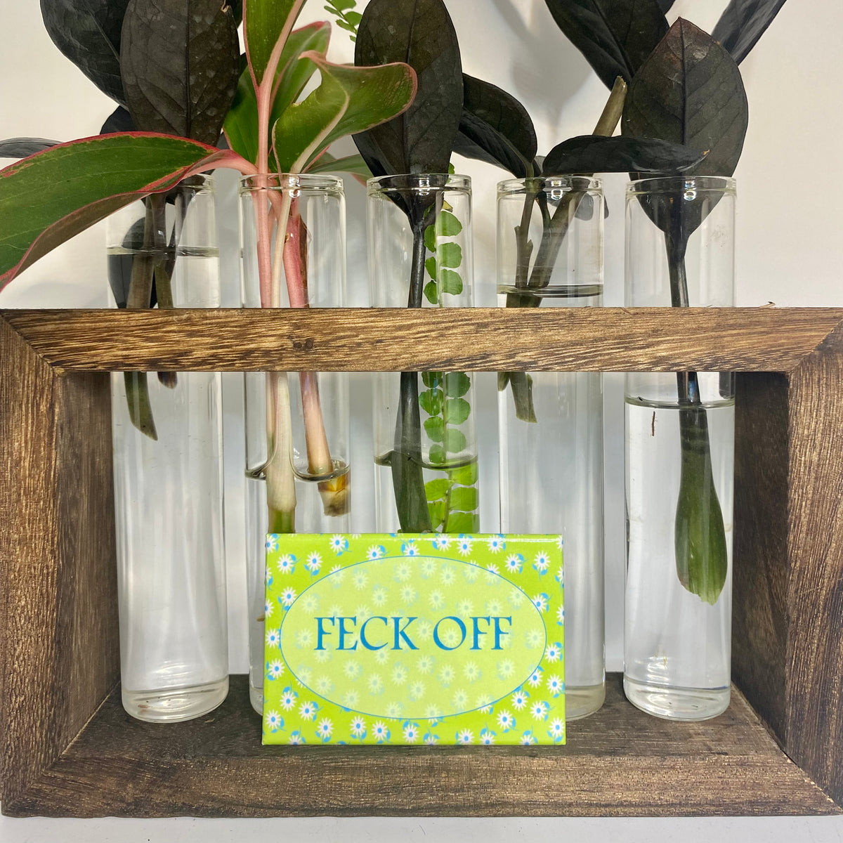 Feck Off • Fridge Magnet – Ree+Dot Cards and Gifts